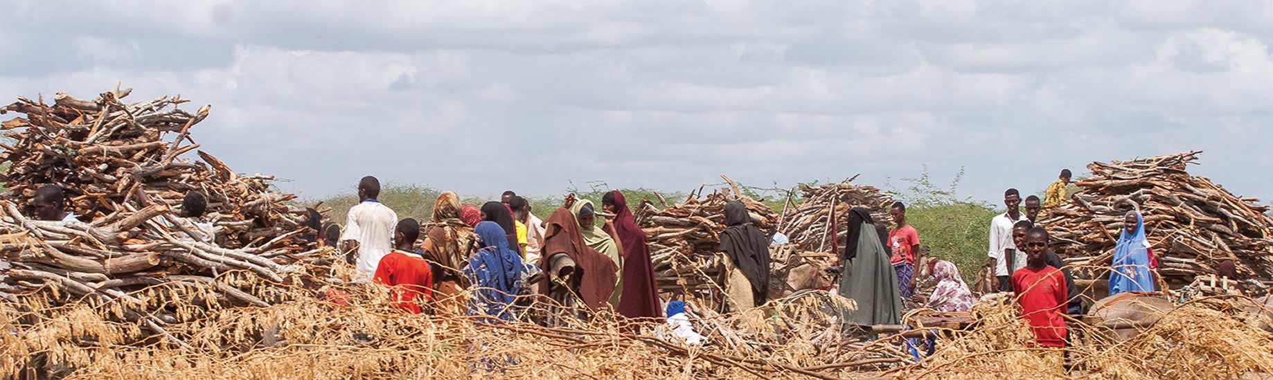 KENYA: Relieving a Dire Wood Shortage Facing Somali Refugees - Lifeline